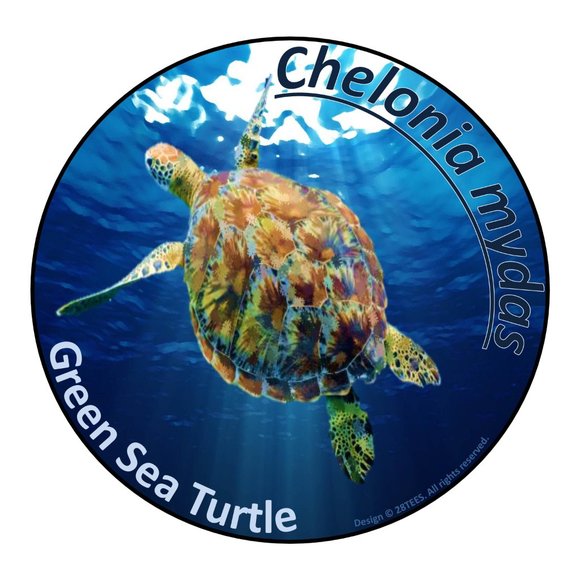 28TEES | Shirts | Men Casual Wildlife Green Sea Turtle Reptiles Unique ...